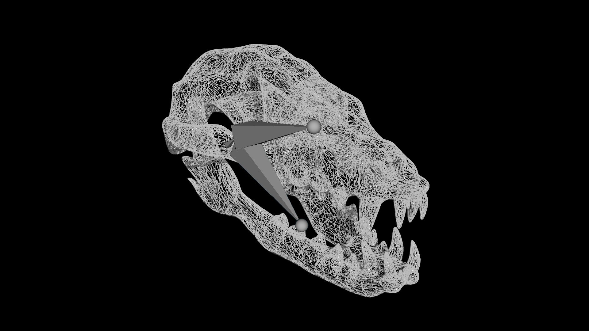 3D Rigged Fox Skull - TurboSquid 1885060