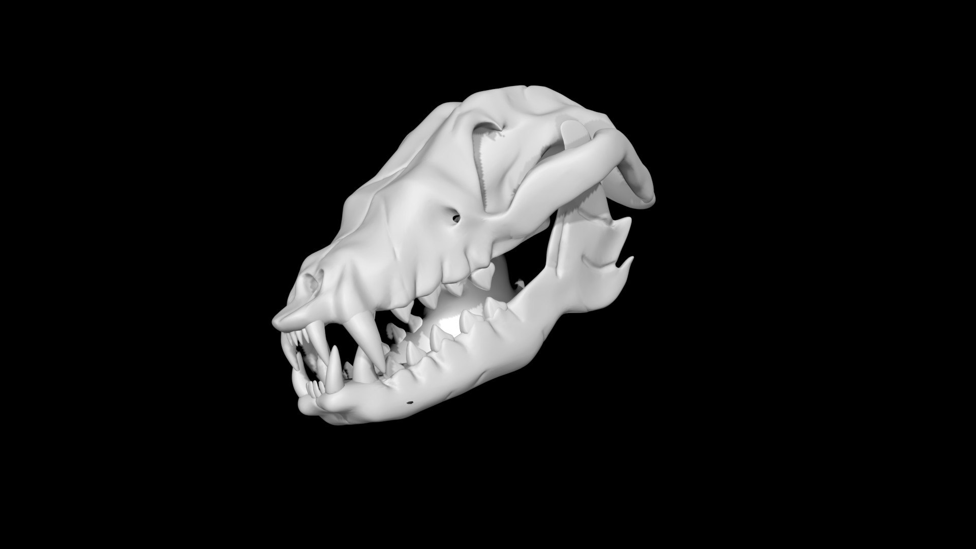 3D Rigged Fox Skull - TurboSquid 1885060