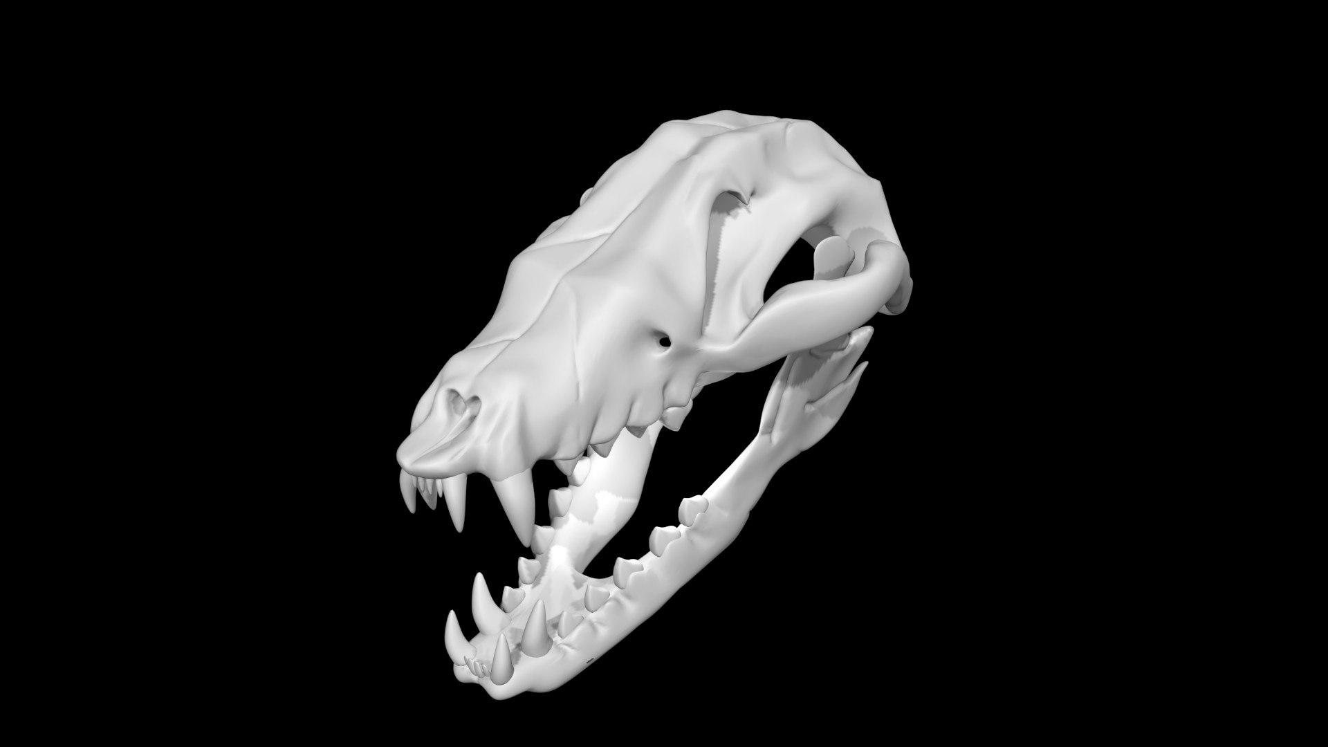 3D Rigged Fox Skull - TurboSquid 1885060