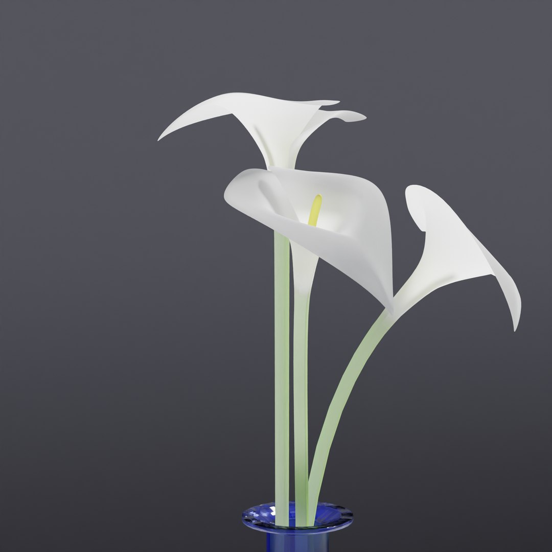 Calla Lily 3D Model - TurboSquid 1909123