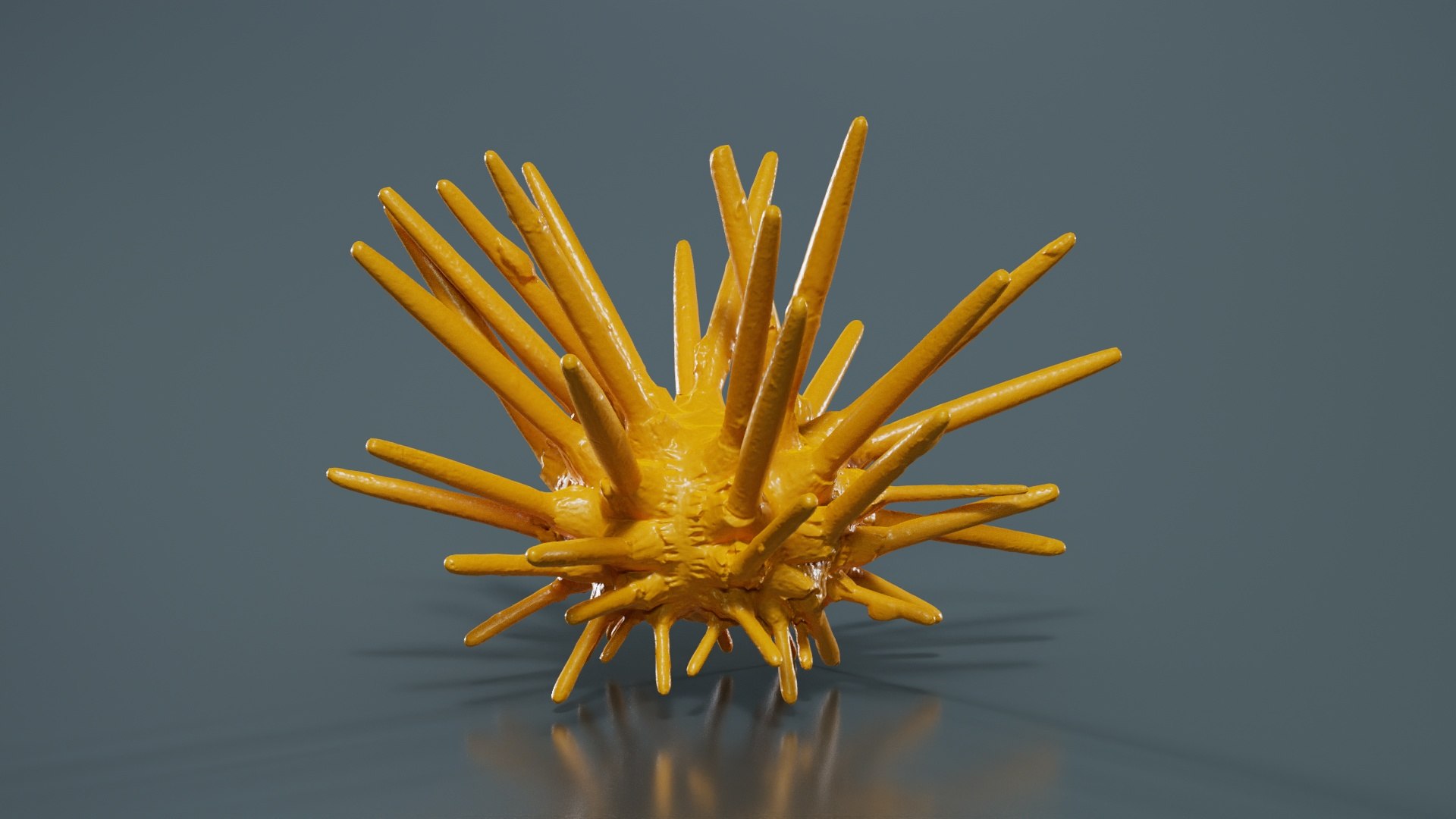 3D Model Lance Urchin Phyllacanthus Imperialis Remastered - TurboSquid ...