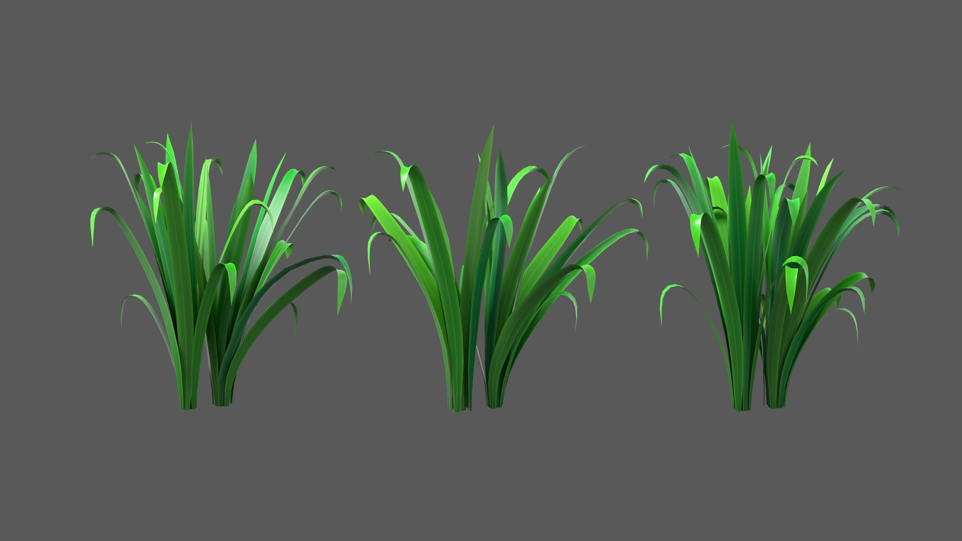 3D Cartoon Long Grass Collection - TurboSquid 2046441