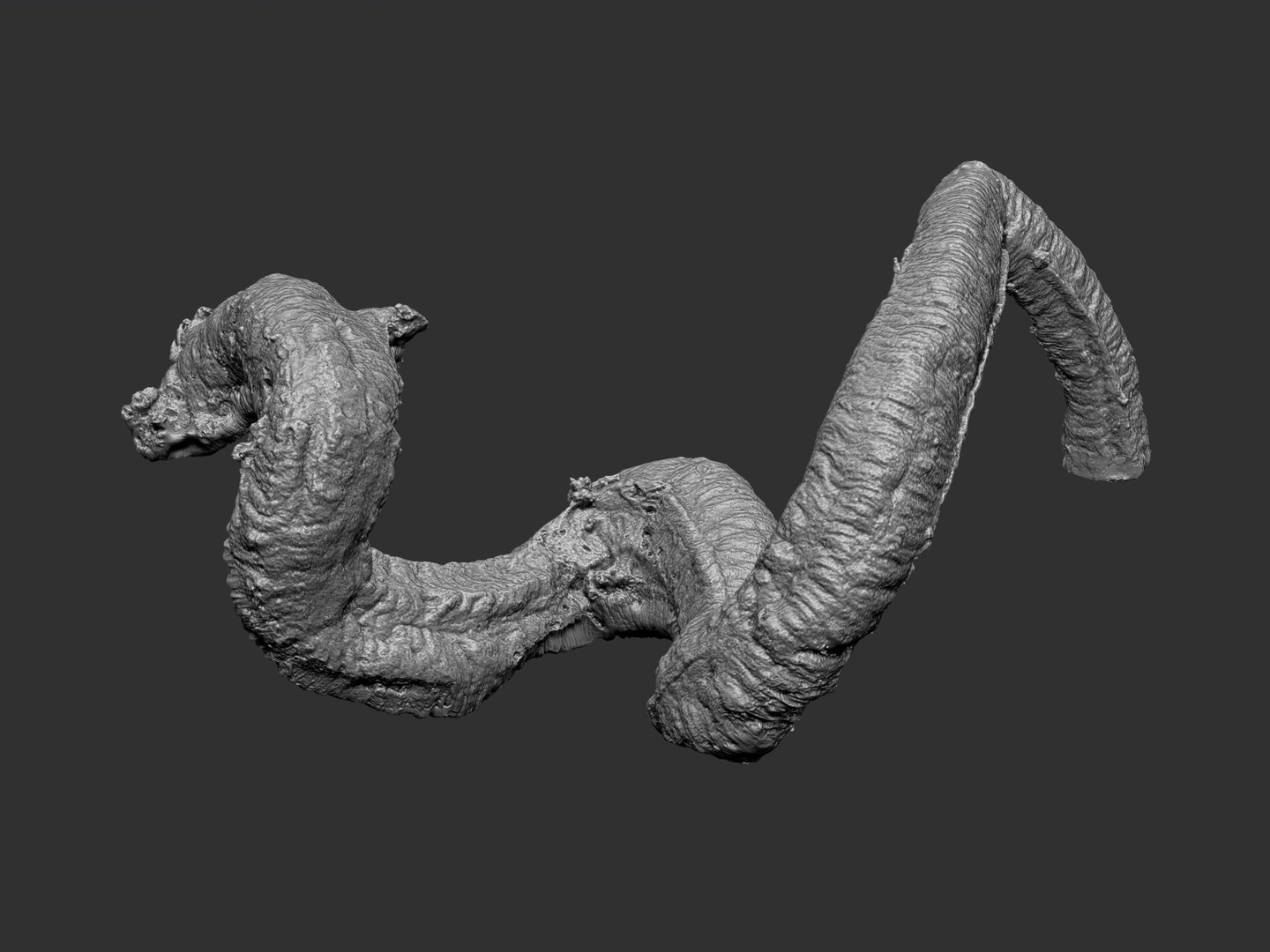 Alien Meat Tentacle 3d Max