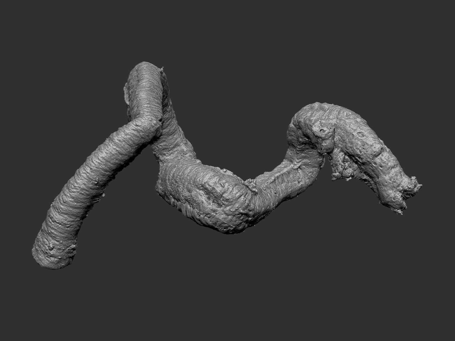 alien meat tentacle 3d max