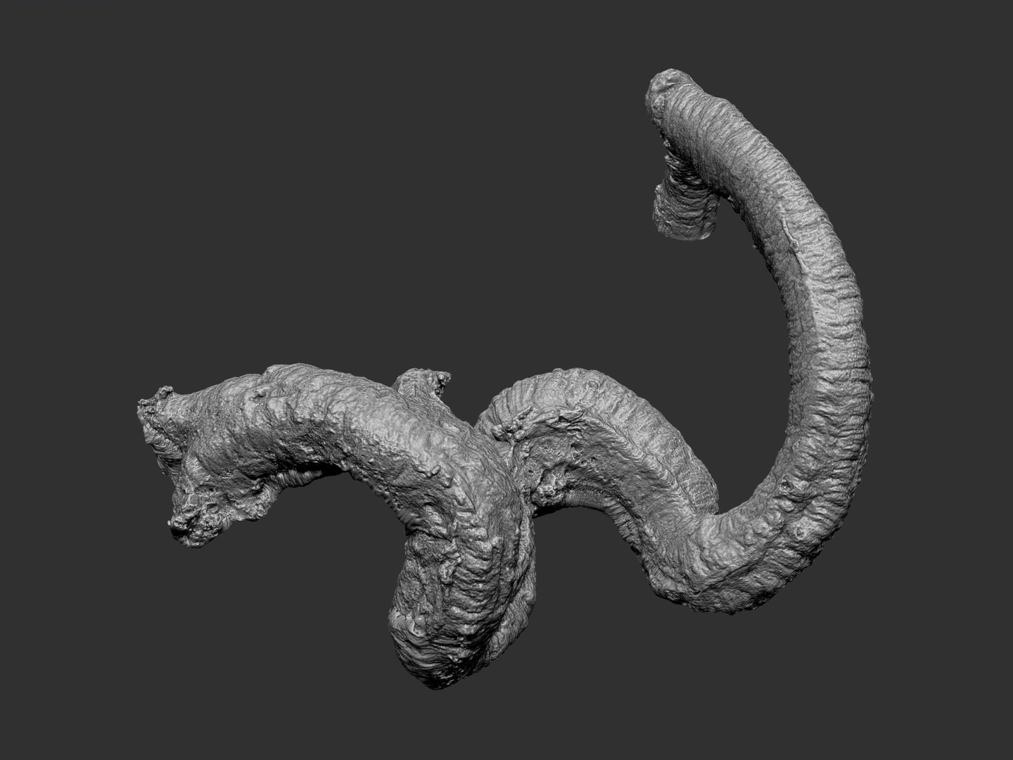 Alien Meat Tentacle 3d Max