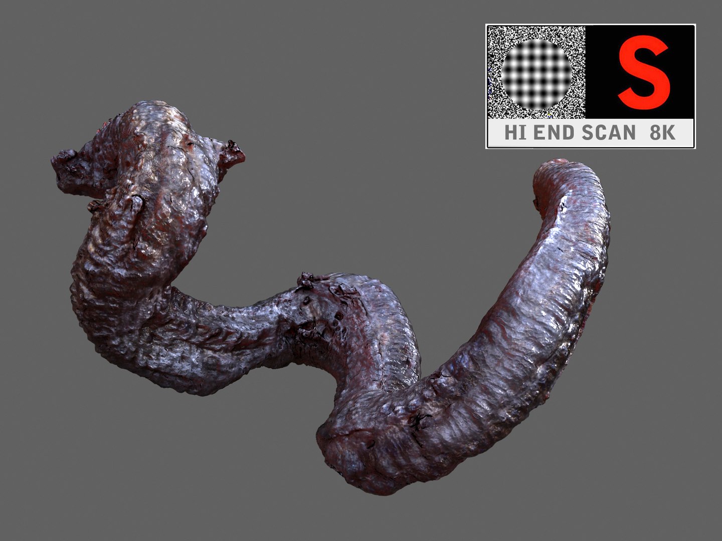 Alien Meat Tentacle 3d Max