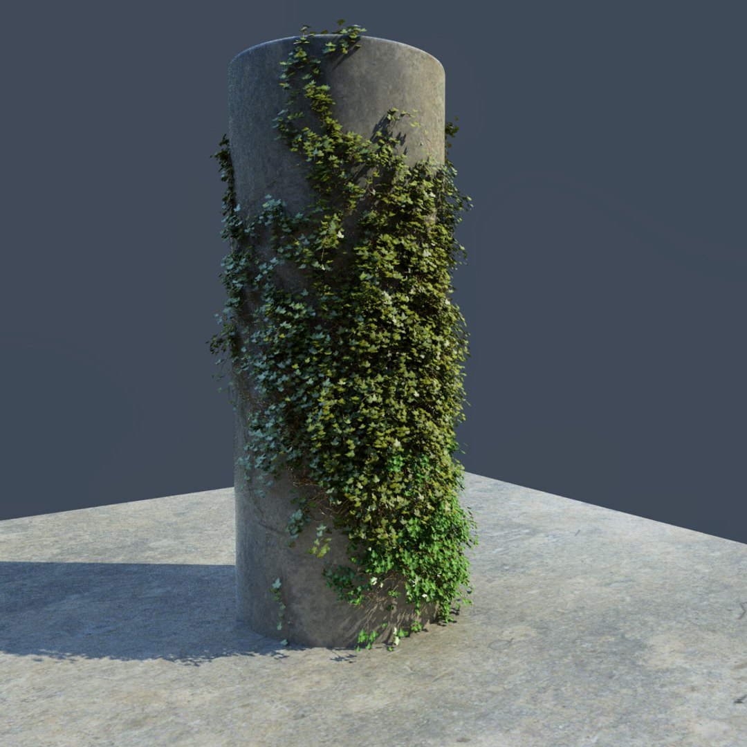 Free Ivy Scene 3d Model