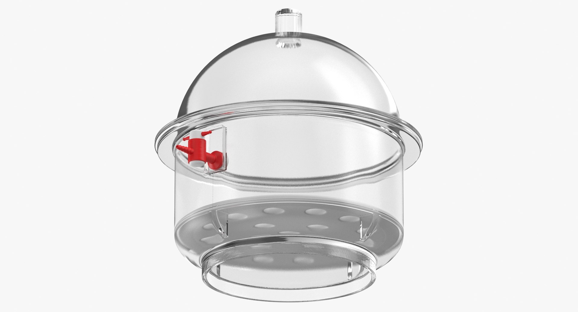 Desiccator 3D - TurboSquid 2013536