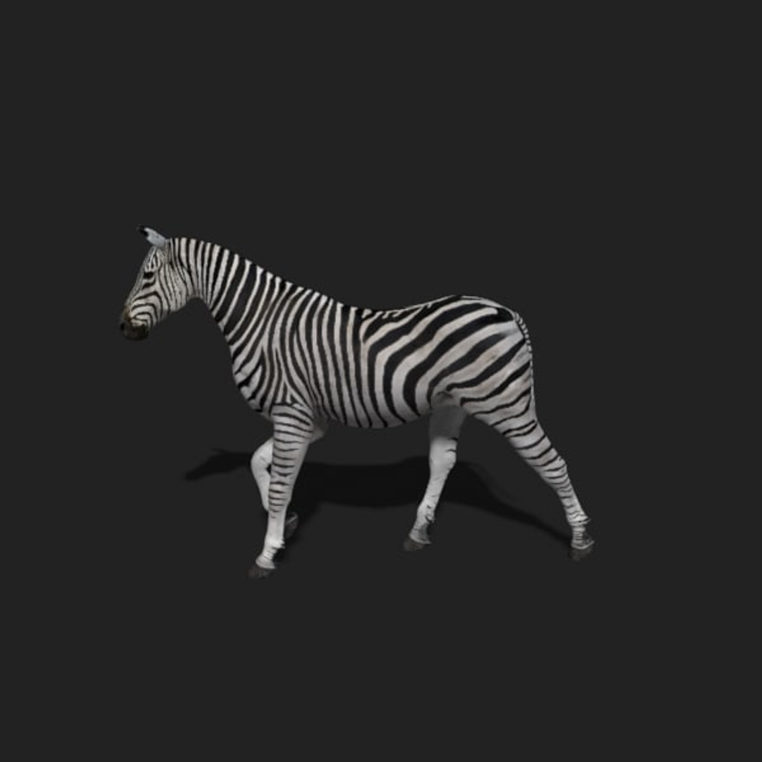 3d Realistic Zebra Model
