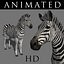 3d Realistic Zebra Model