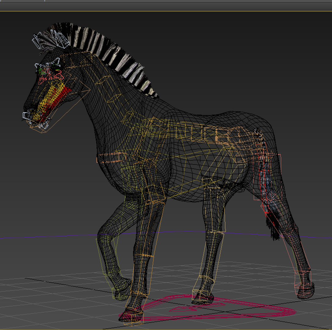 3d realistic zebra model