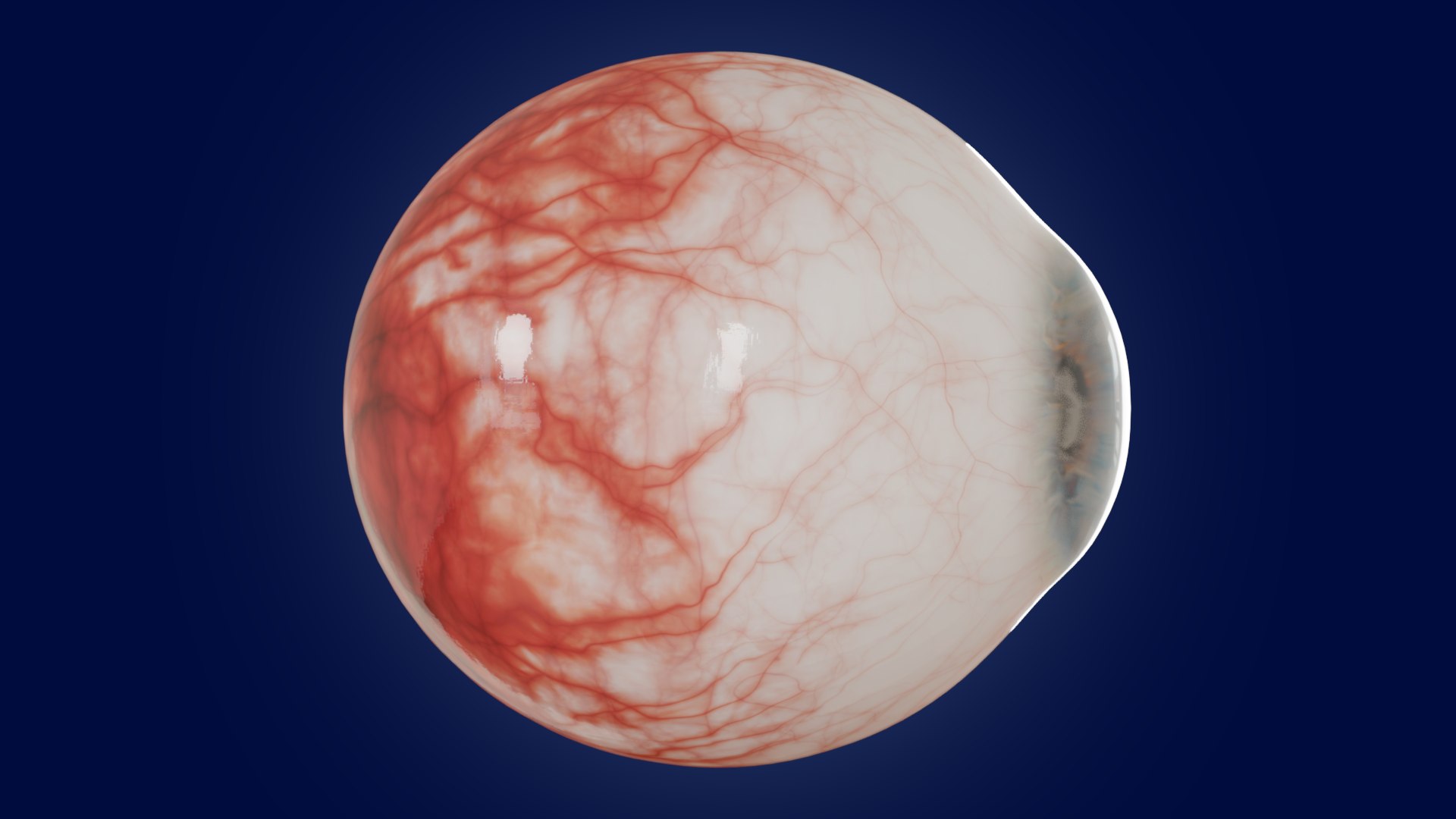 3D Photorealistic human eye model - TurboSquid 1803077