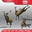 3d Model Stag Animations
