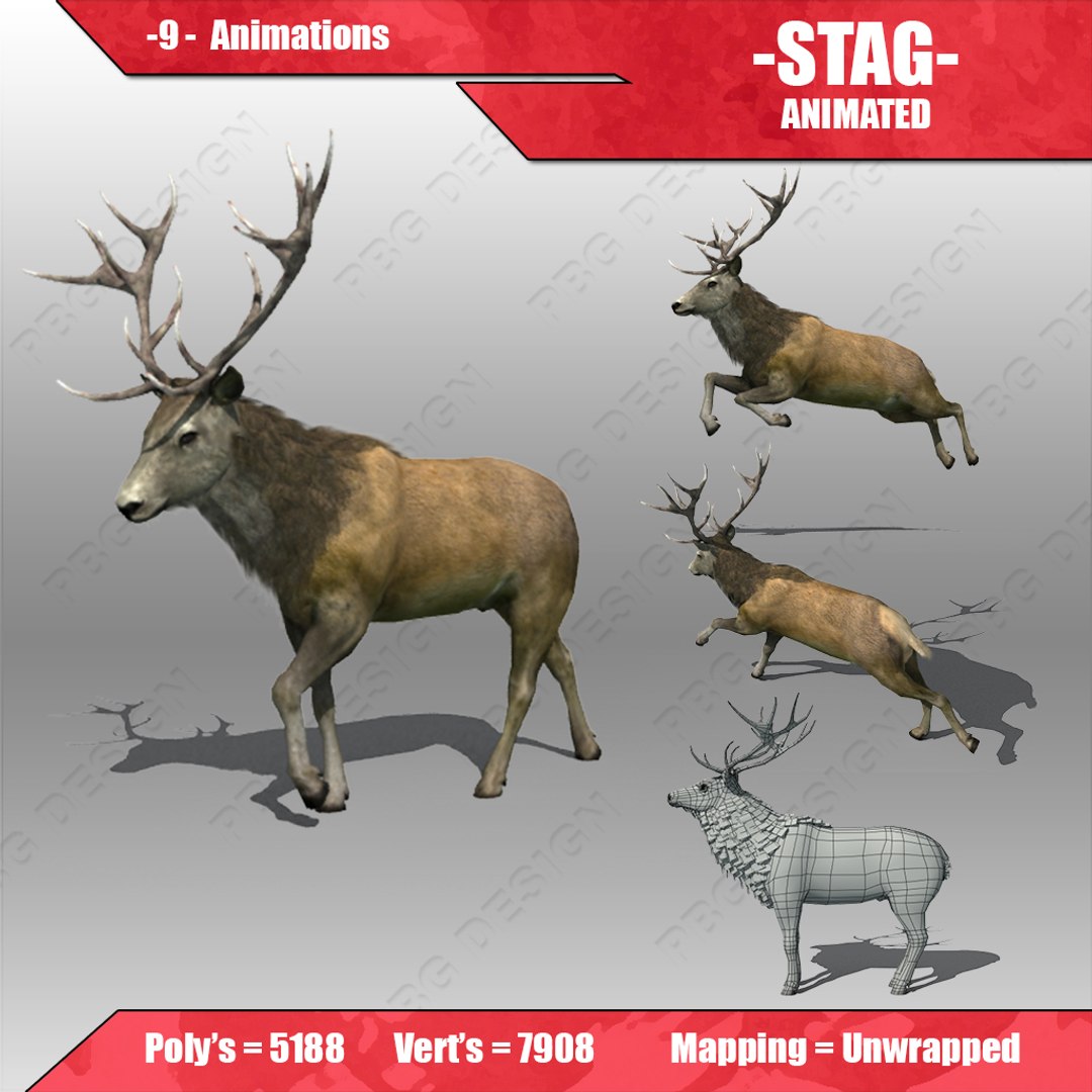 3d Model Stag Animations