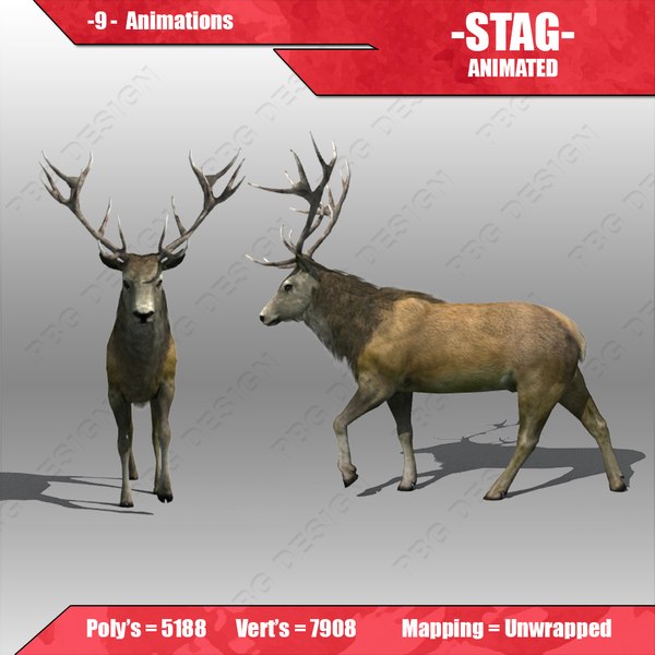 3d model stag animations