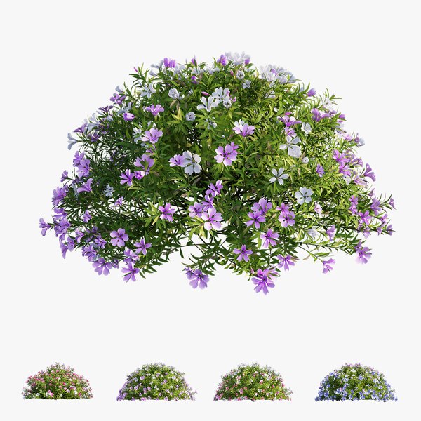 Flowering Plants SketchUp Models for Download | TurboSquid