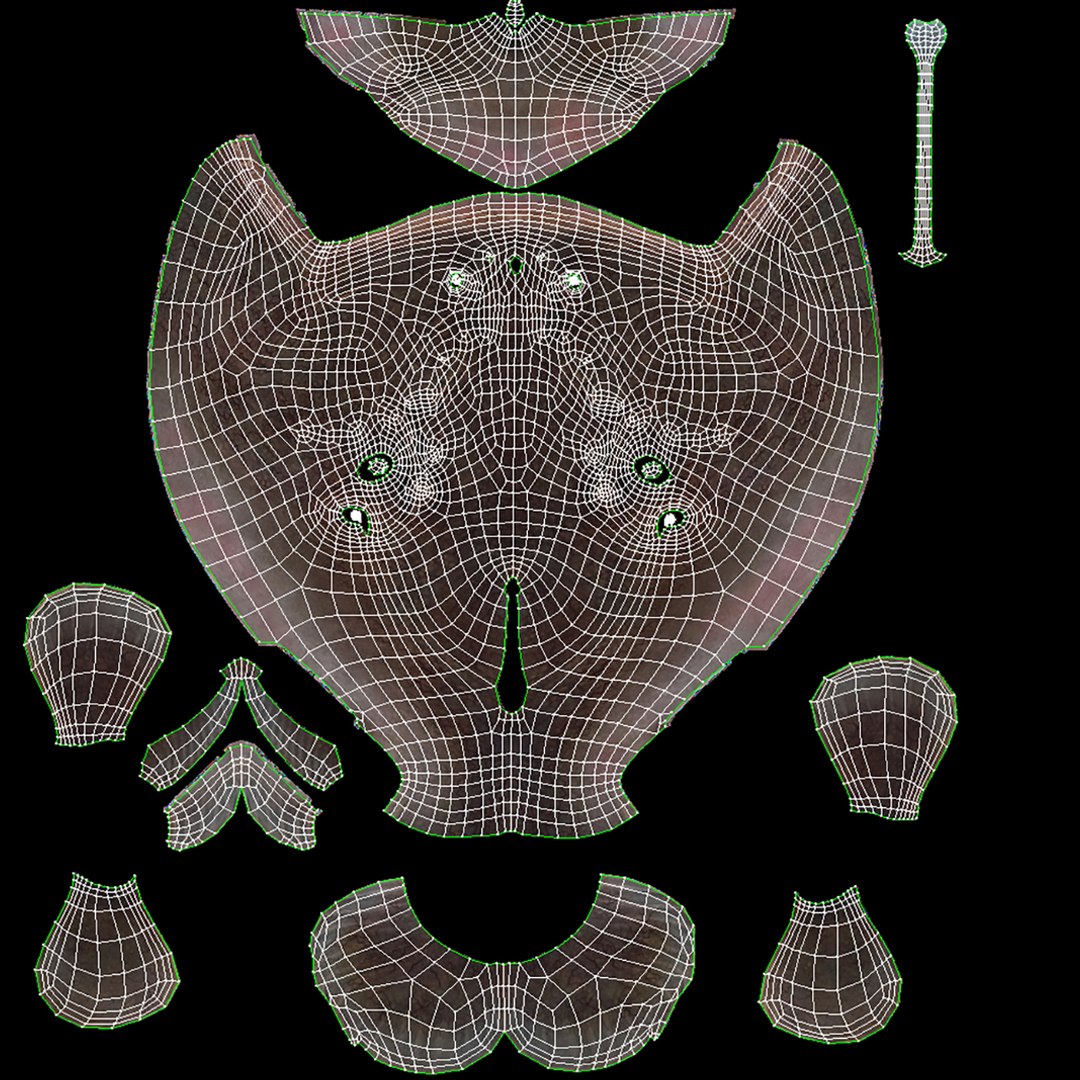 Angler Fish model - TurboSquid 2155158