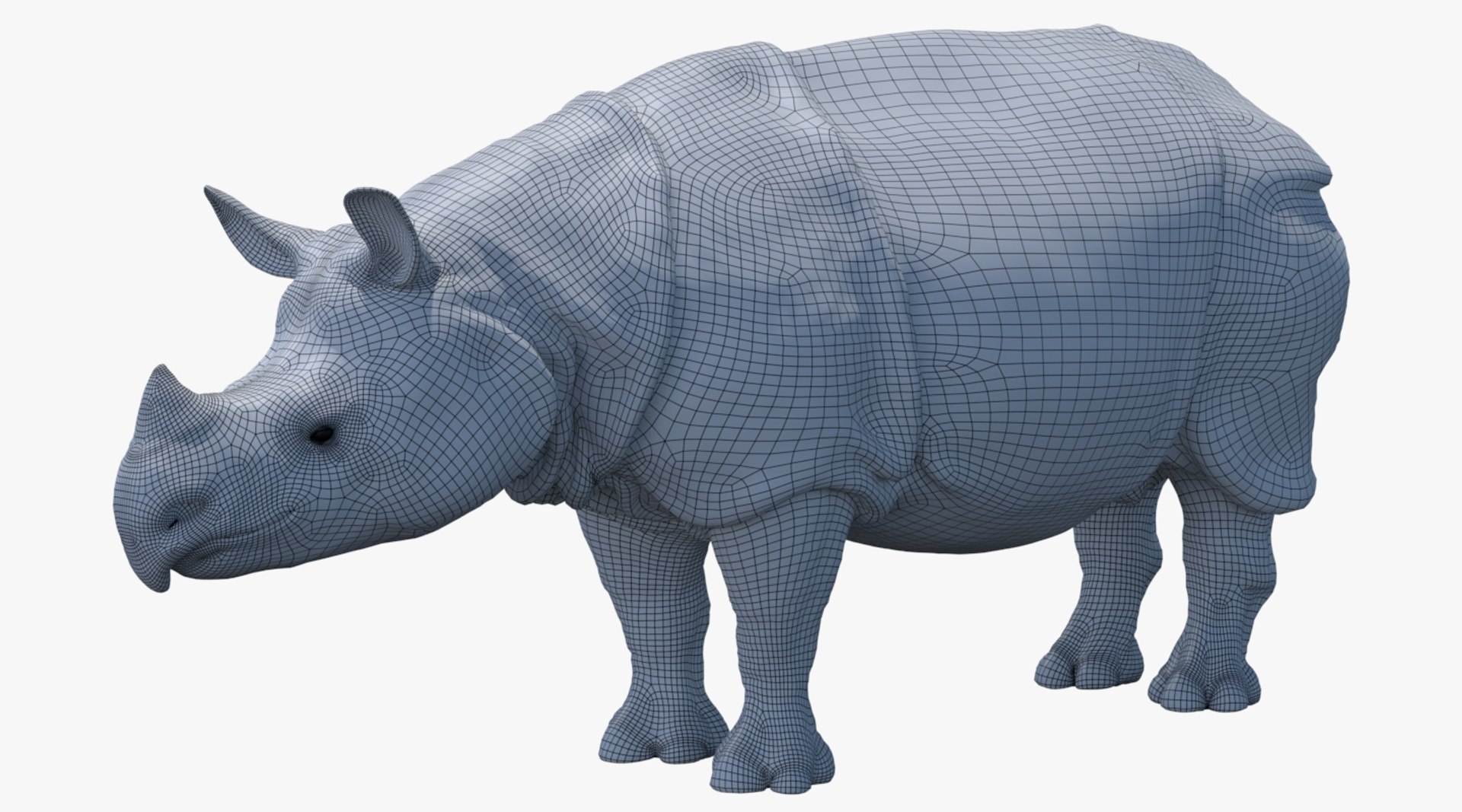 3D Javan Rhinoceros Rhino Model - TurboSquid 1239887