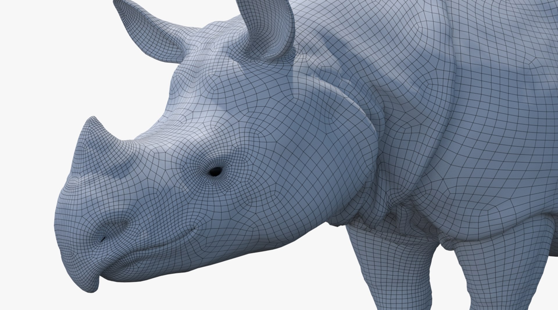 3D javan rhinoceros rhino model - TurboSquid 1239887