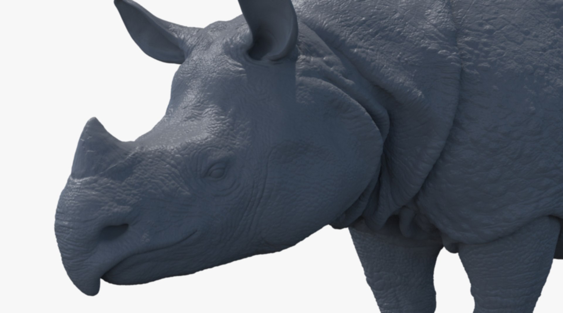 3D Javan Rhinoceros Rhino Model - TurboSquid 1239887