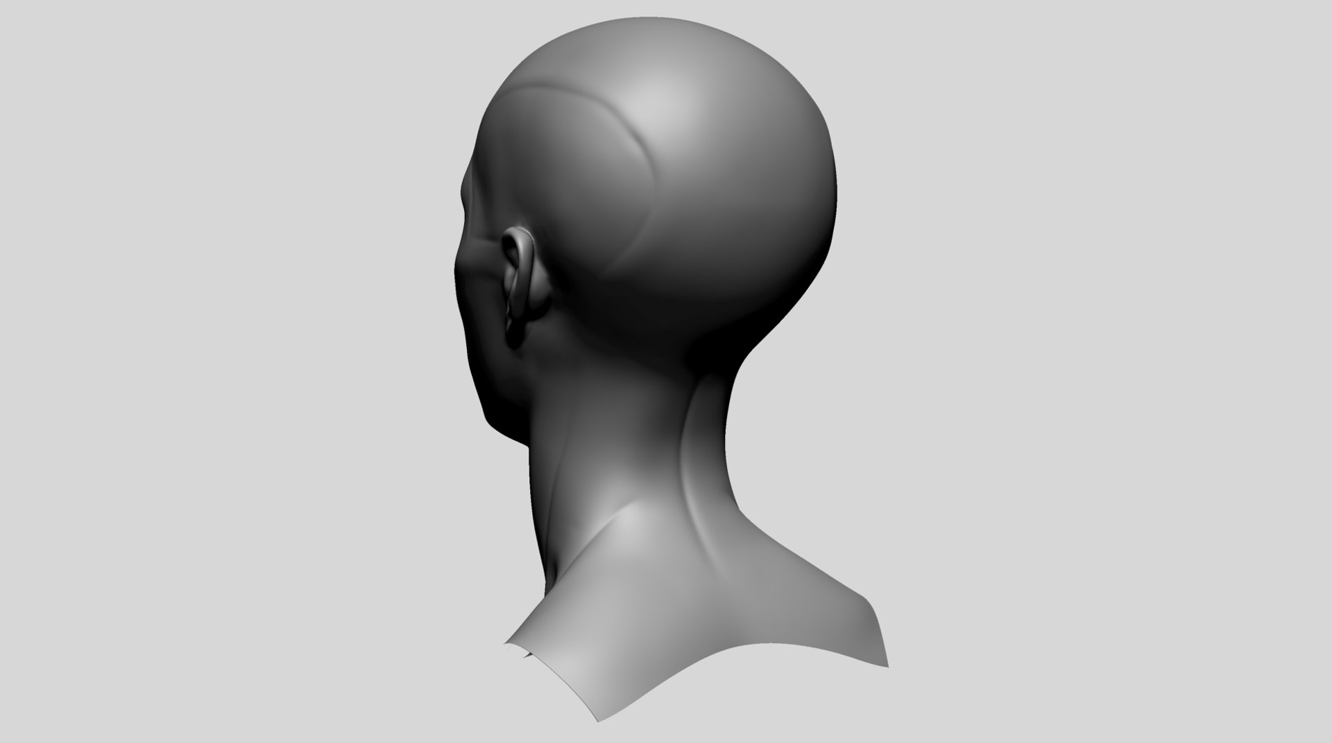 3D Female Head Anatomy B - TurboSquid 2209904
