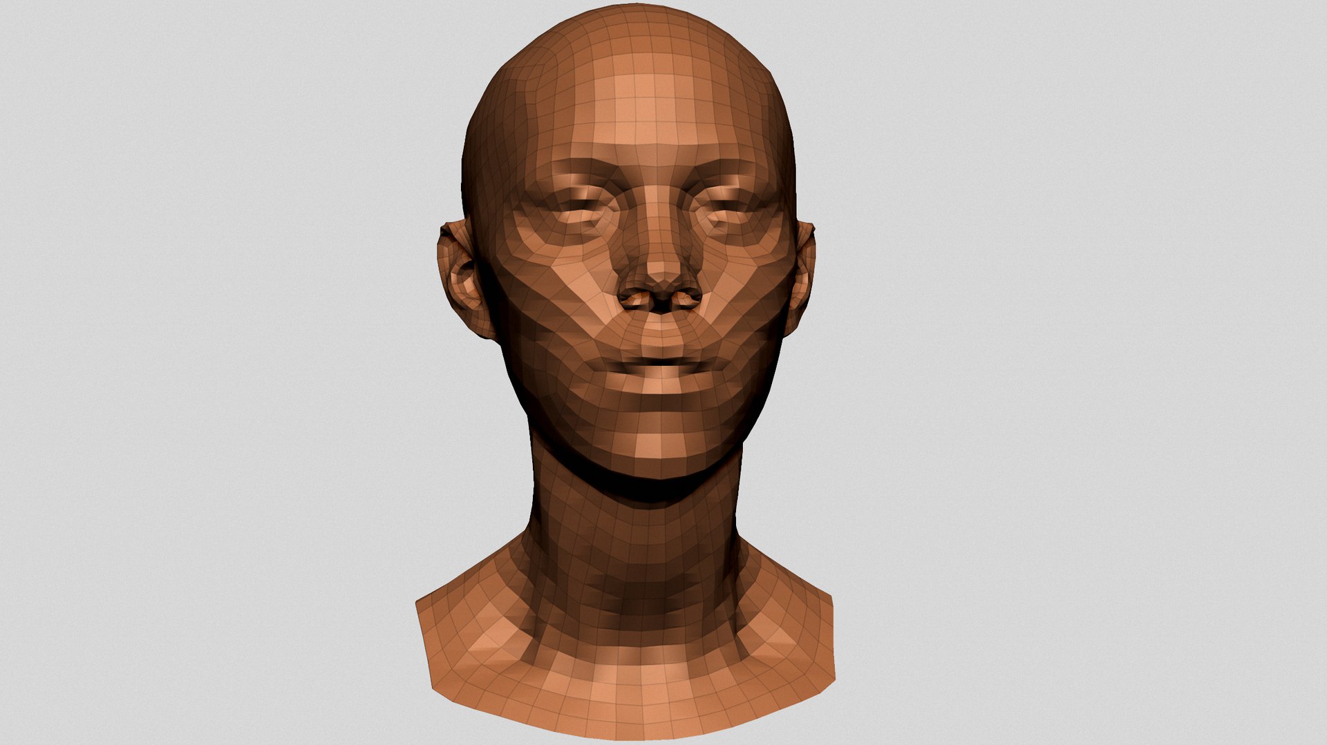 3D Female Head Anatomy B - TurboSquid 2209904