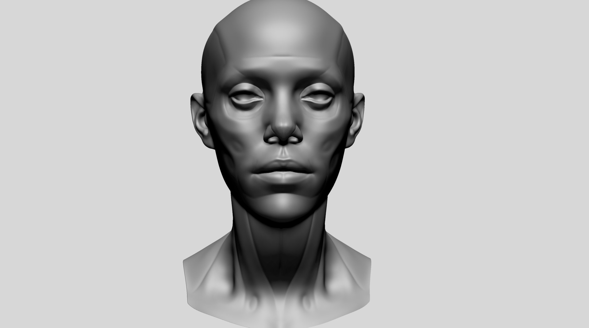 3D Female Head Anatomy B - TurboSquid 2209904