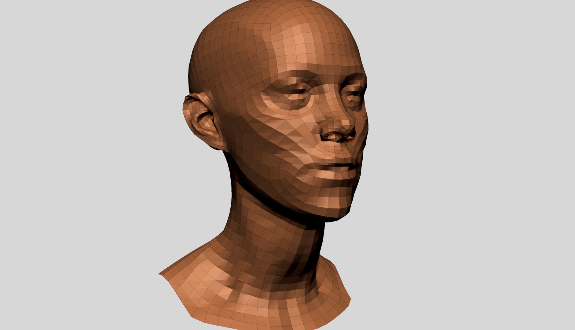 3D Female Head Anatomy B - TurboSquid 2209904