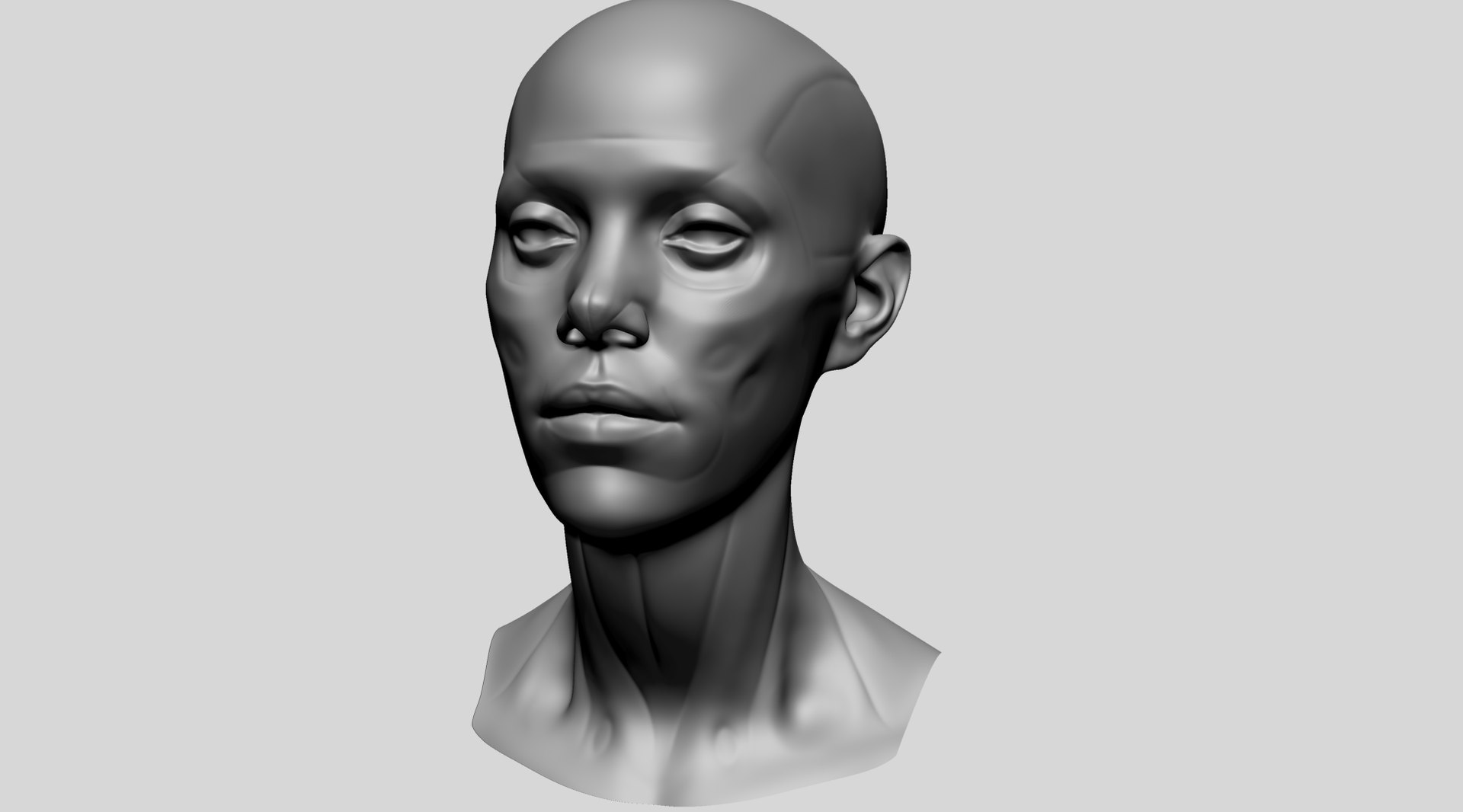 3D Female Head Anatomy B - TurboSquid 2209904