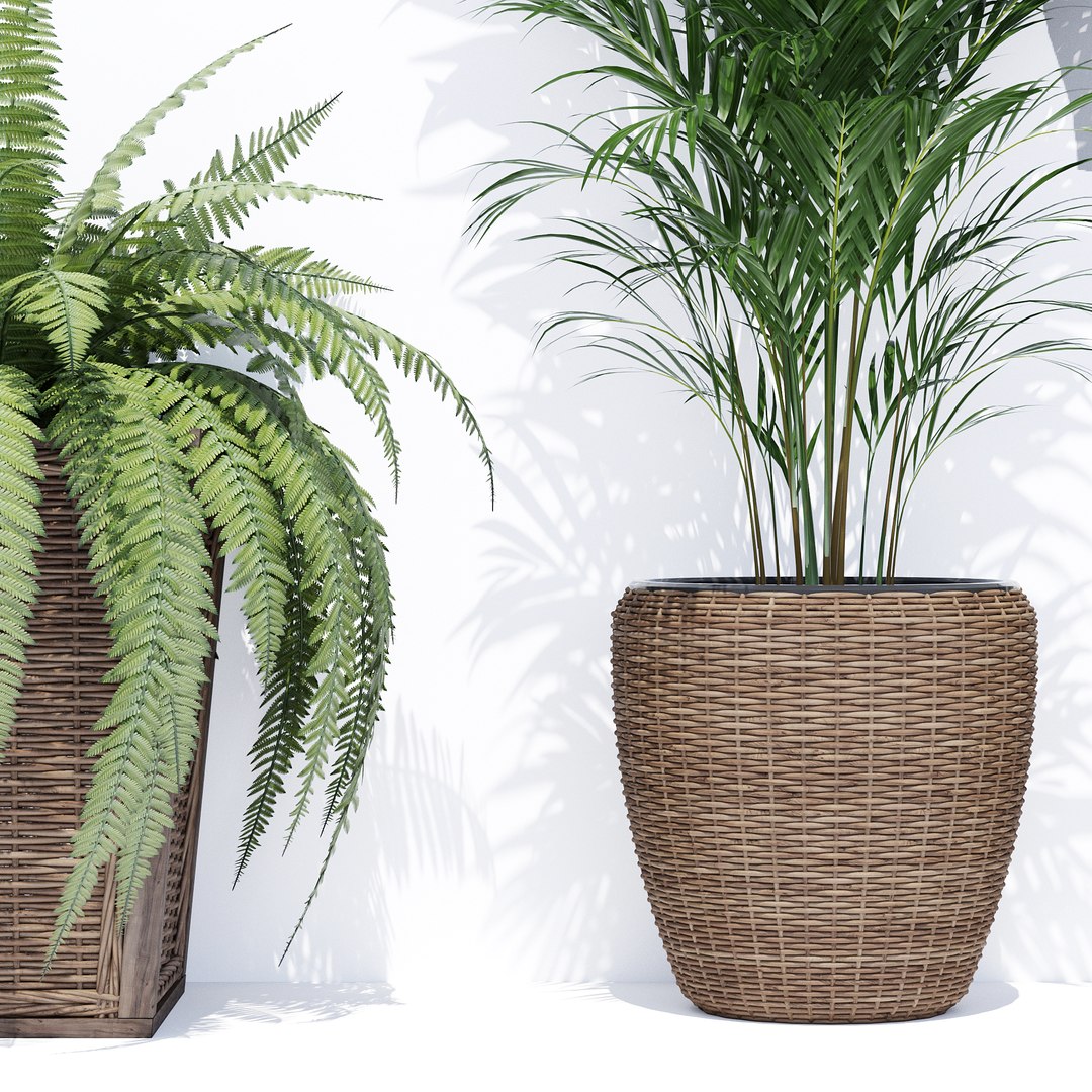 3D Model Rattan - TurboSquid 1814048