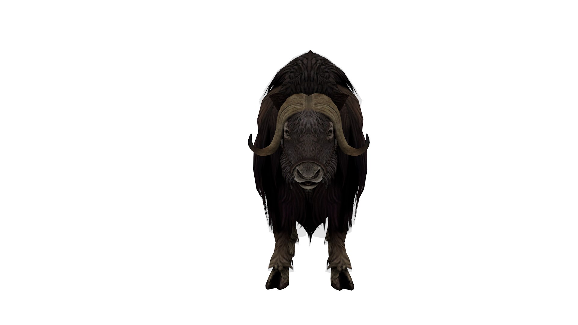 3D Ice Age Musk Ox 3D Model Model - TurboSquid 2383768