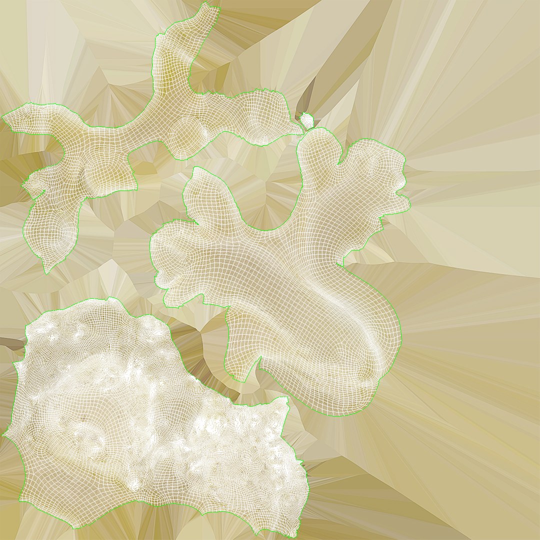 Pavian Monkey Male Thoracic Vertebrae TH3 3D Model - TurboSquid 2071781