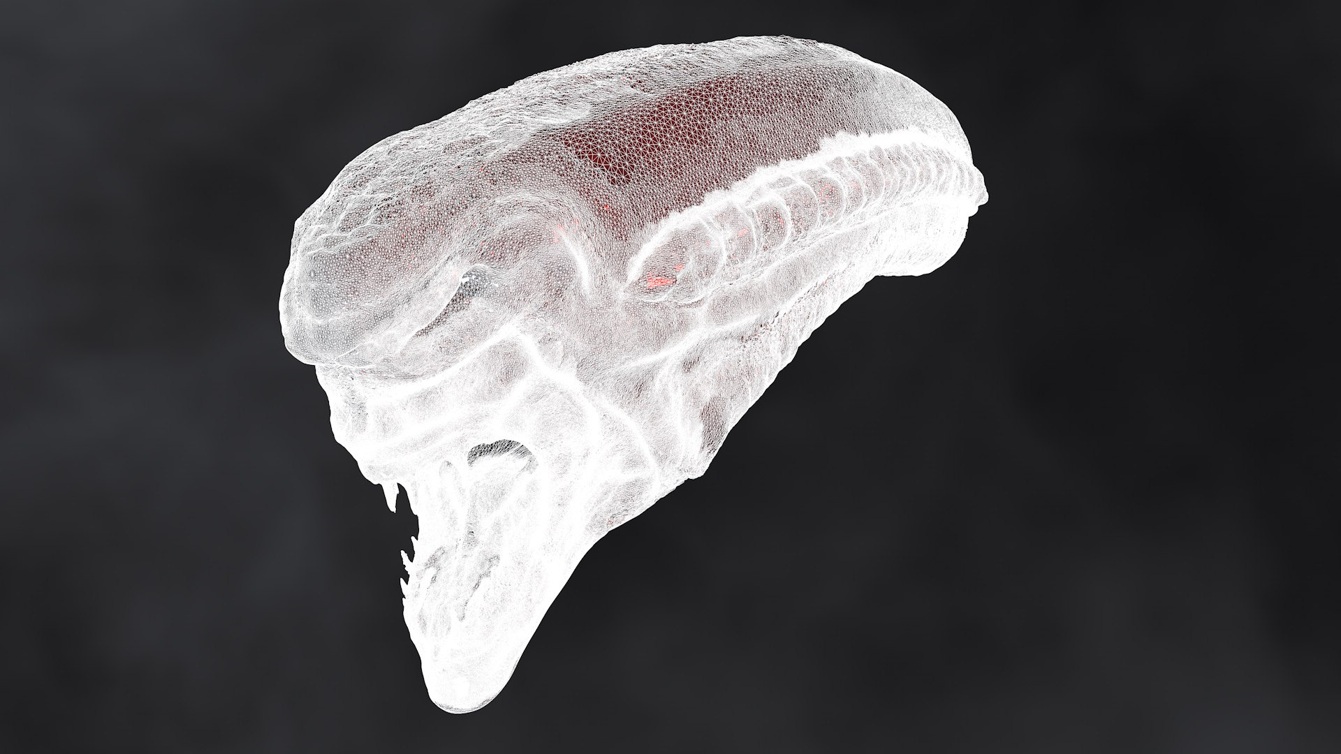 Designs Alien Creature Head 3D Model - TurboSquid 1707090