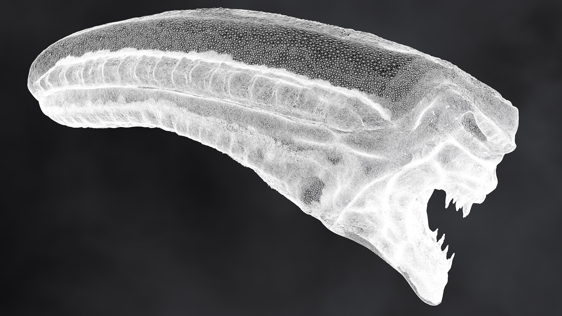 Designs Alien Creature Head 3D Model - TurboSquid 1707090