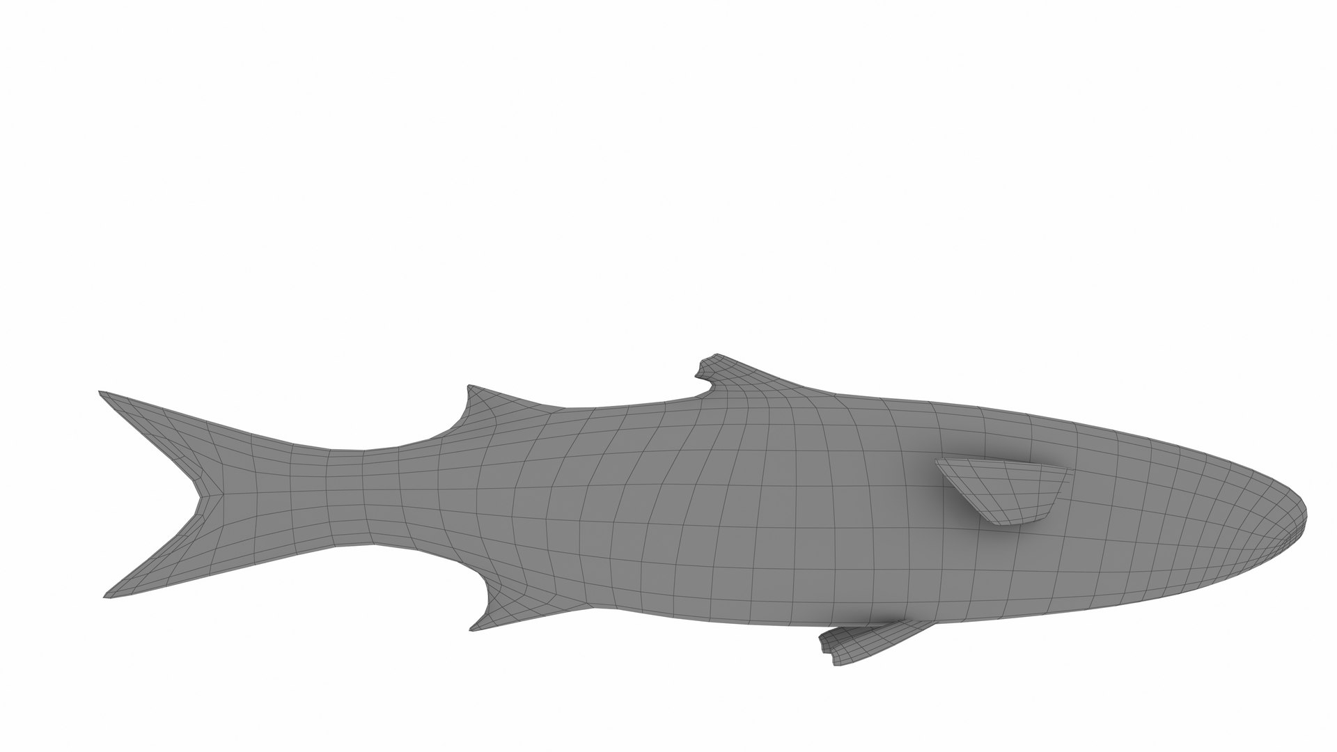 Mullet Fish 3D Model - TurboSquid 2379194