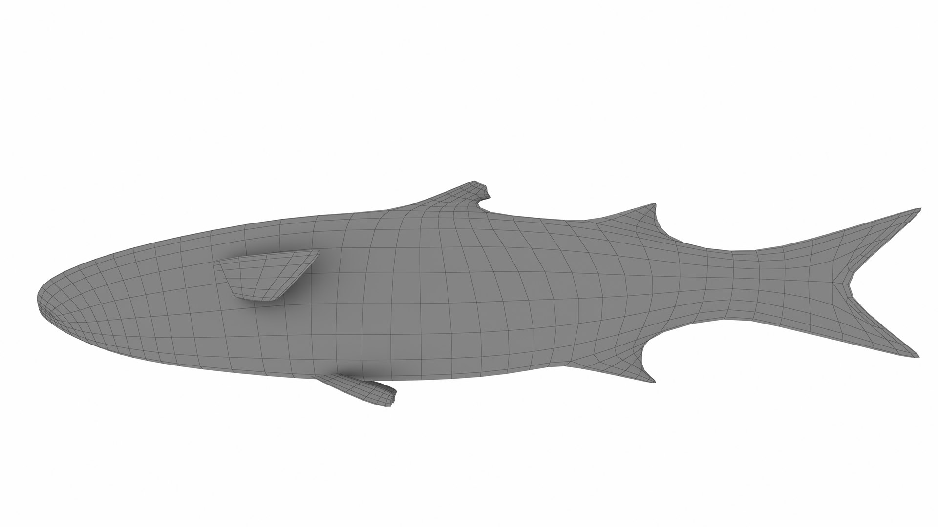 Mullet Fish 3D Model - TurboSquid 2379194