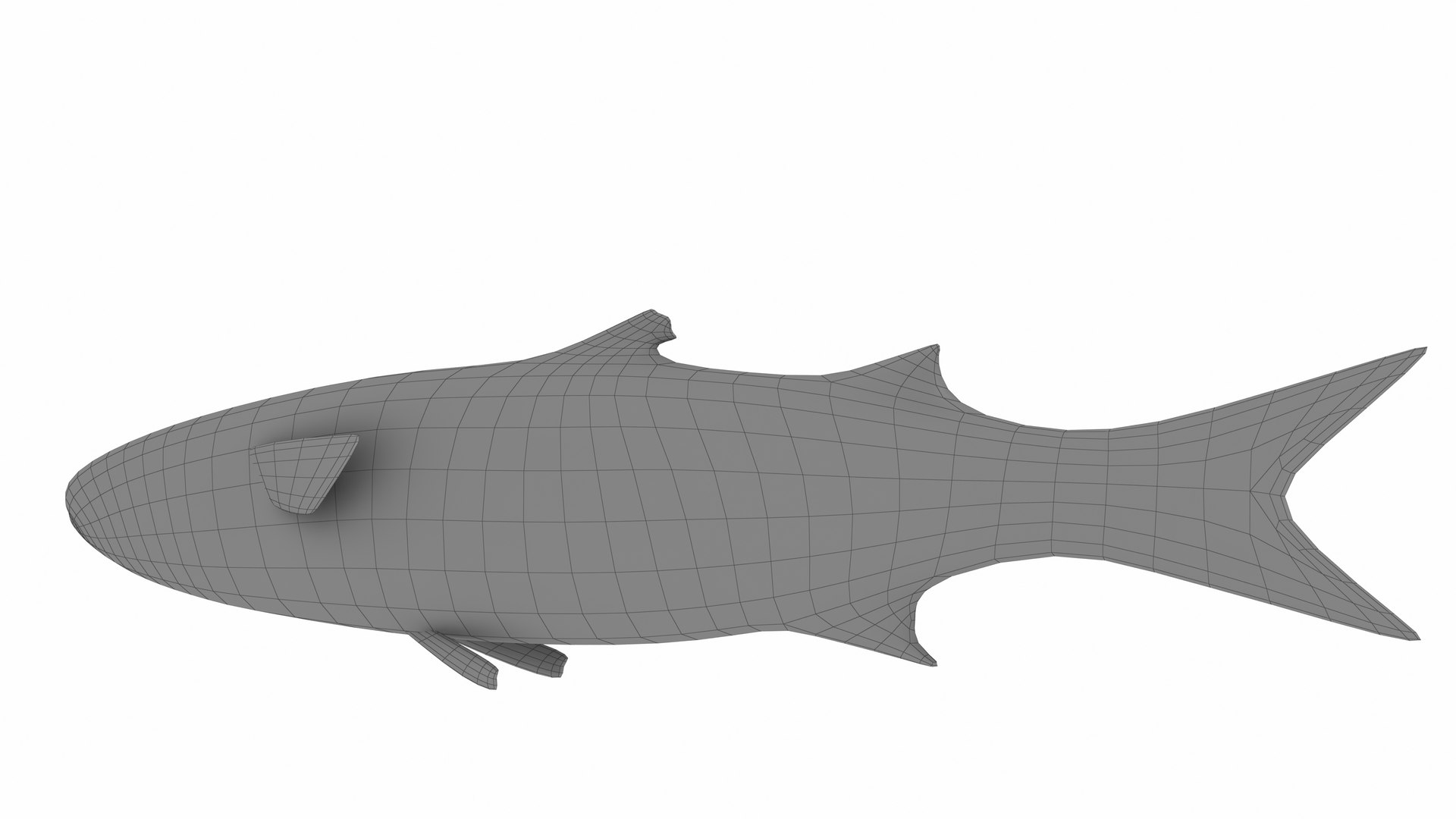 Mullet Fish 3D Model - TurboSquid 2379194