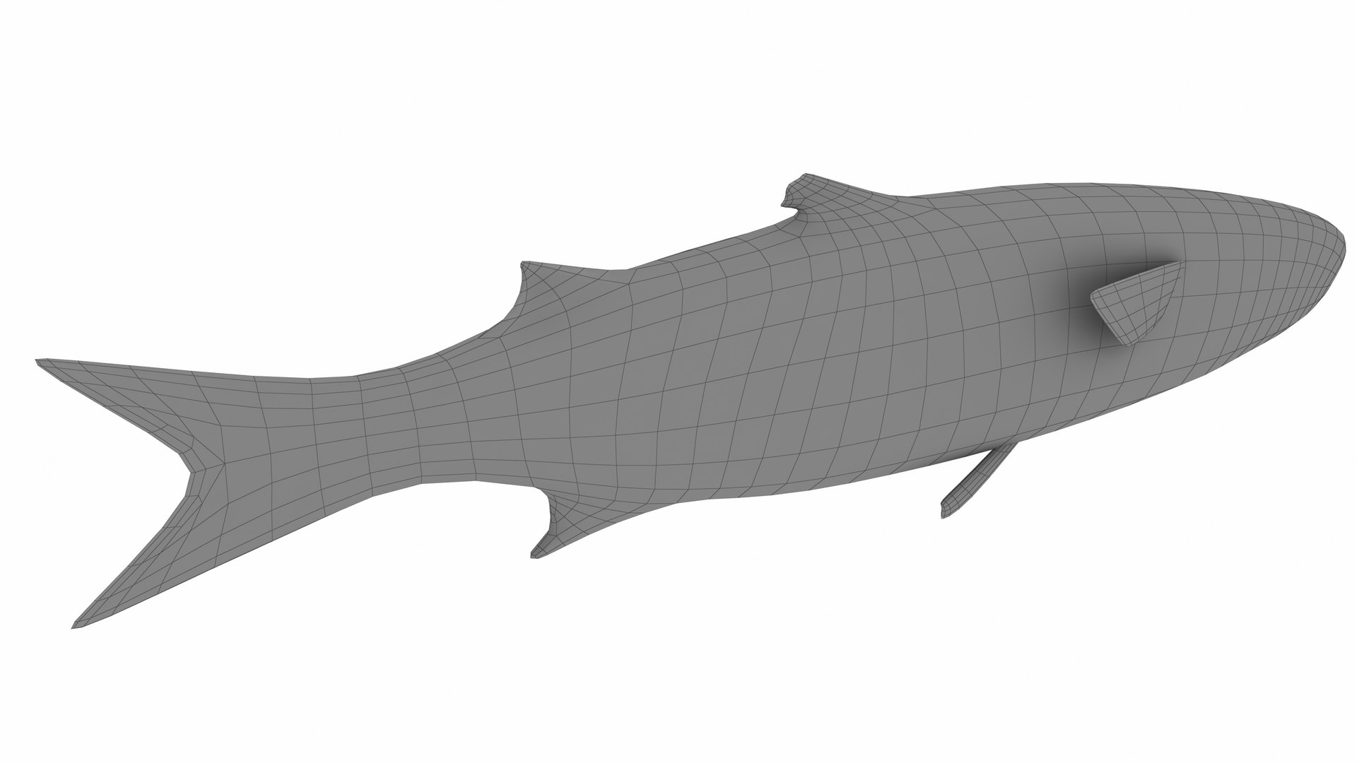 Mullet Fish 3D Model - TurboSquid 2379194