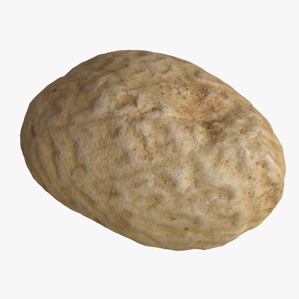 Peanut Unshelled Single Pod 33D模型 - TurboSquid 2000892