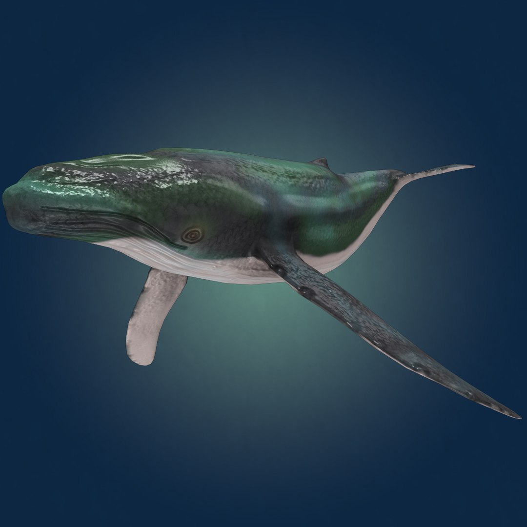 3d Max Whale Animation
