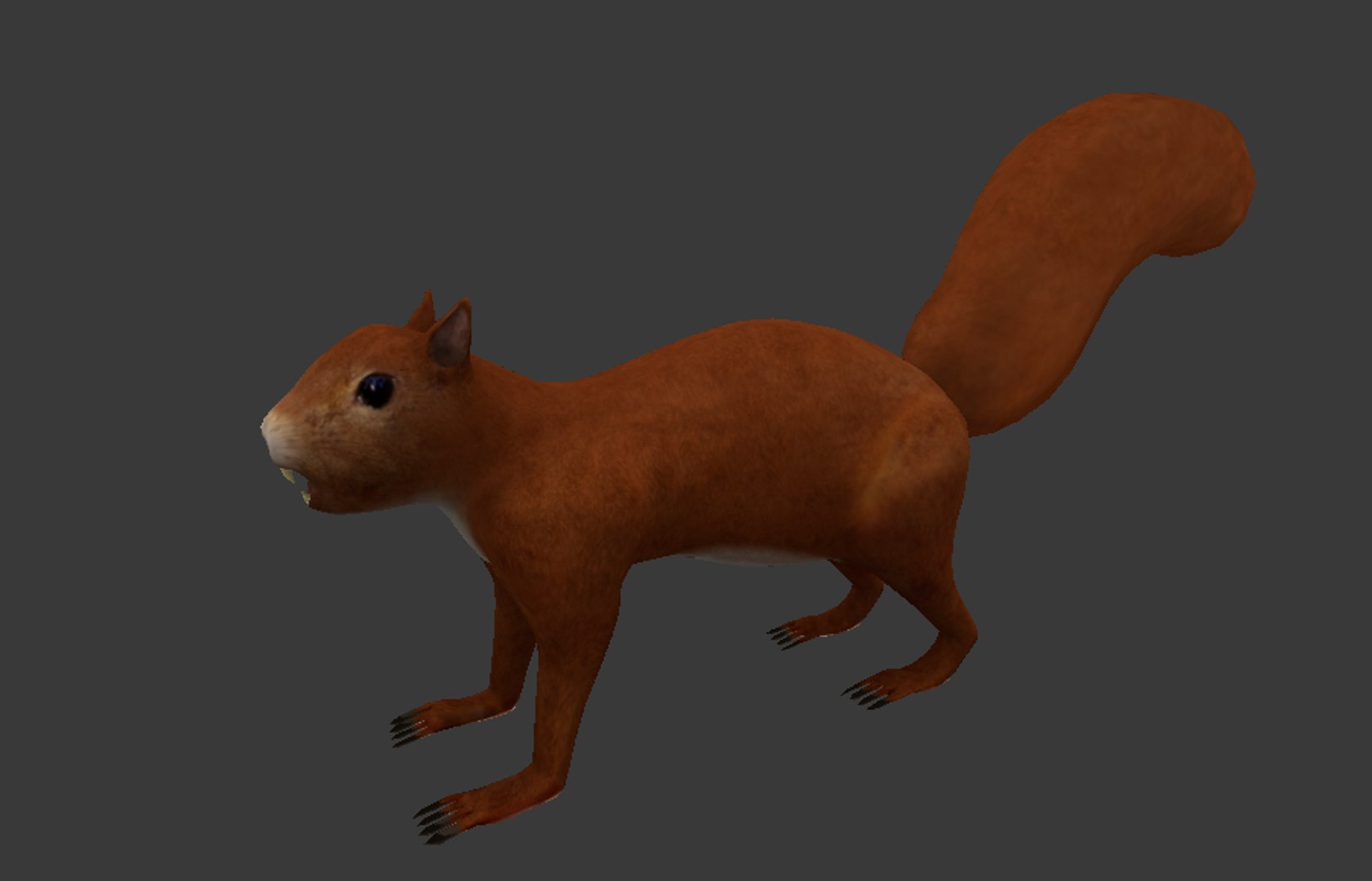 Squirrel 3D Model - TurboSquid 1171105