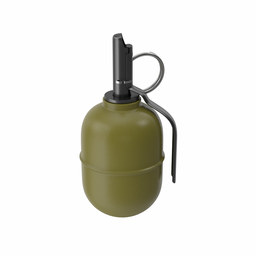 Frag Grenade 3D model - TurboSquid 1998874