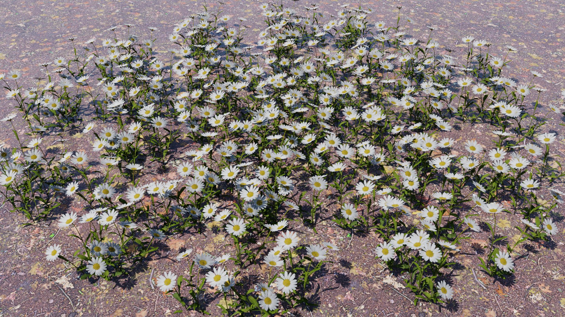Chamomile Meadow 3D Model - TurboSquid 2027055