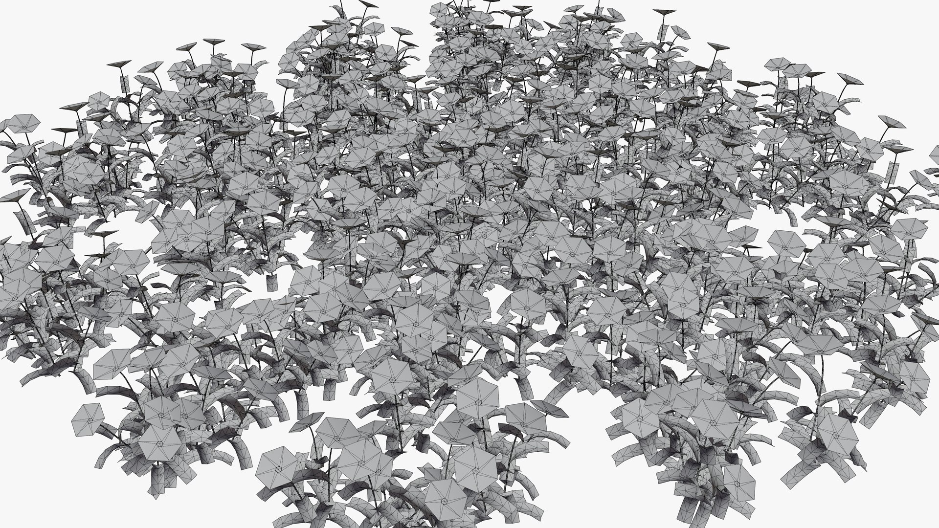 Chamomile Meadow 3D Model - TurboSquid 2027055