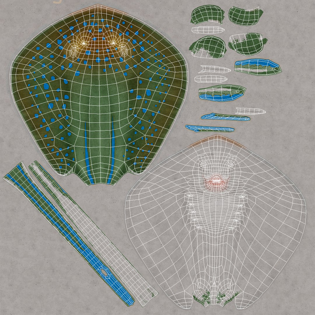 c4d blue spotted stingray rigged