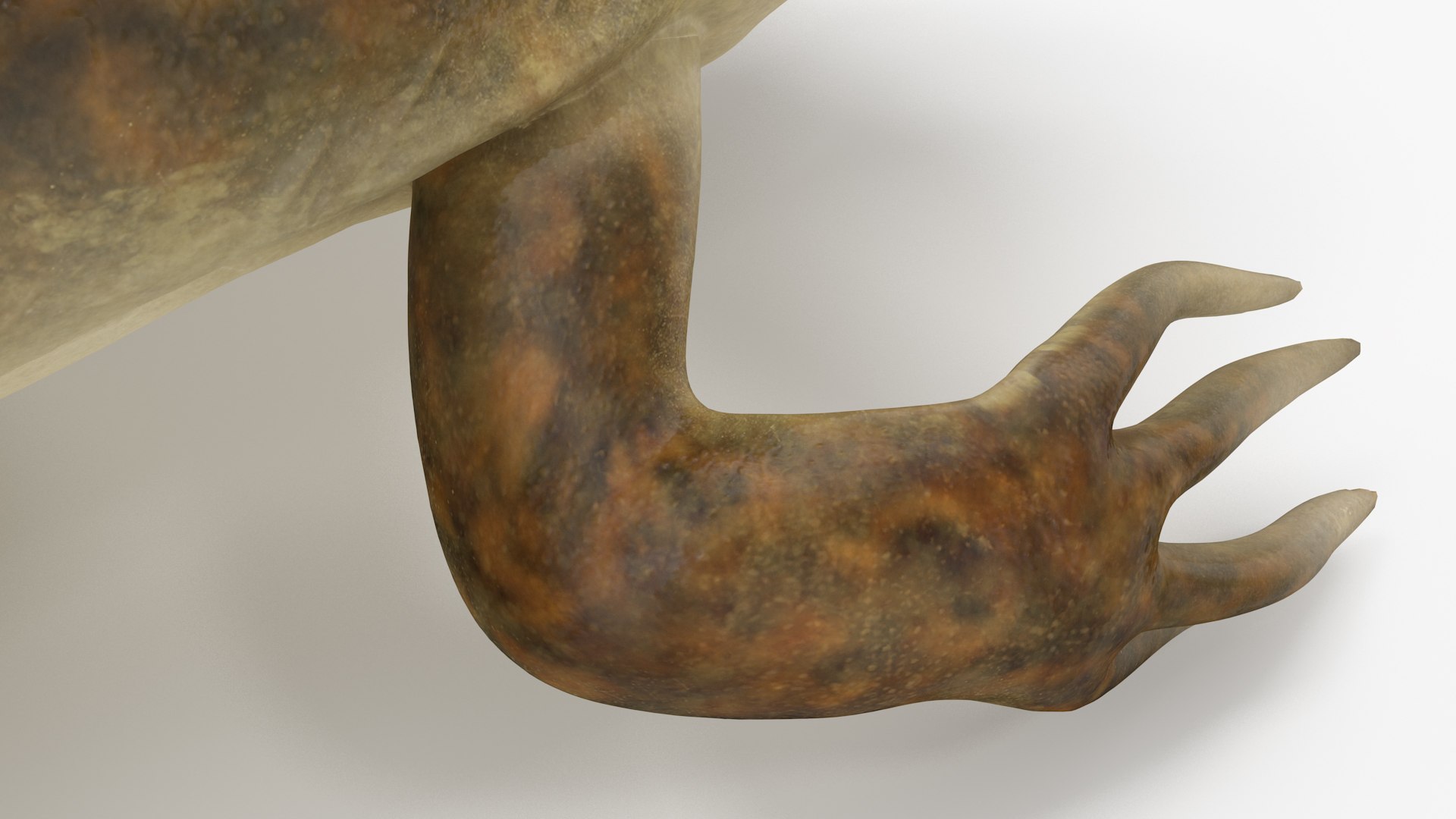 African Claw-toe Frog Sits Pose 3D model - TurboSquid 2133275