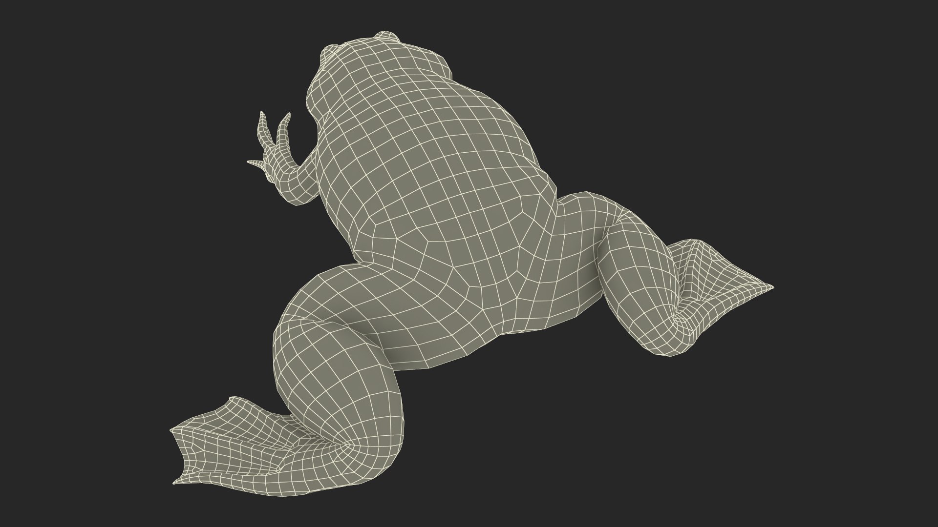 African Claw-toe Frog Sits Pose 3D Model - TurboSquid 2133275