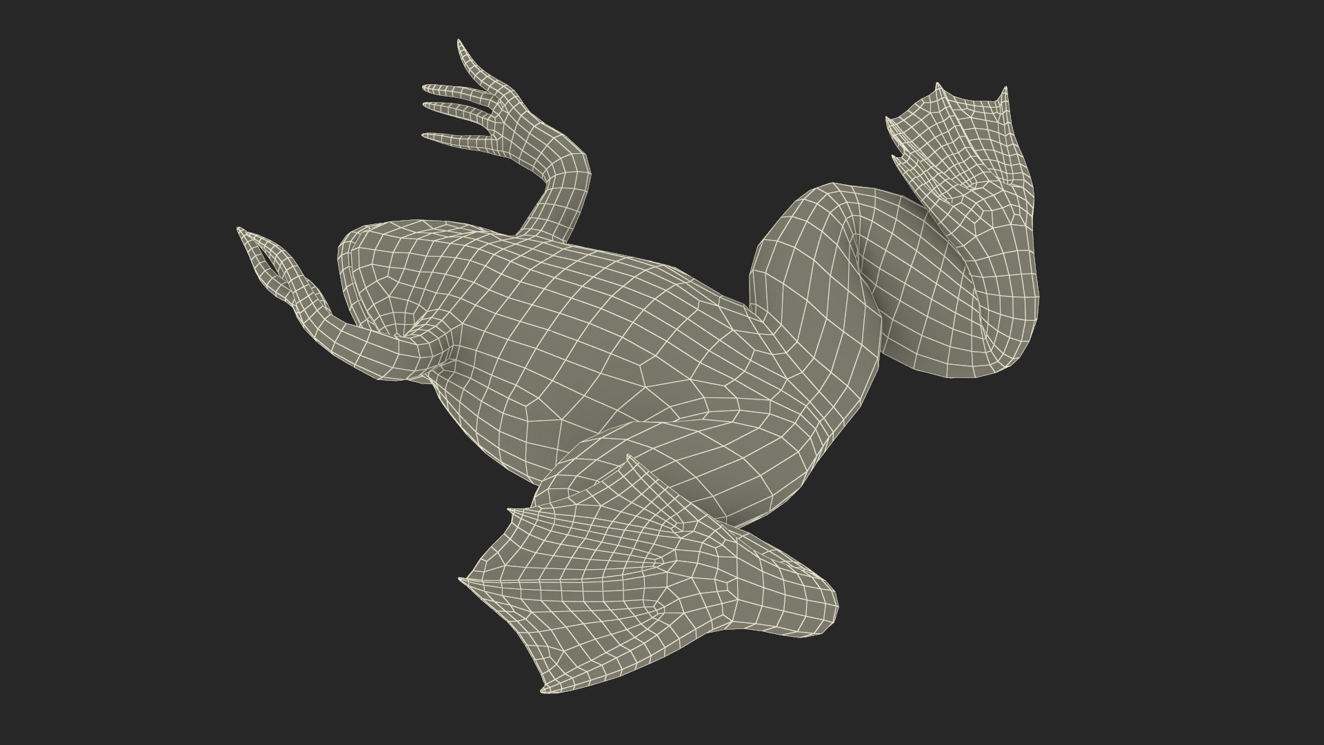 African Claw-toe Frog Sits Pose 3D Model - TurboSquid 2133275