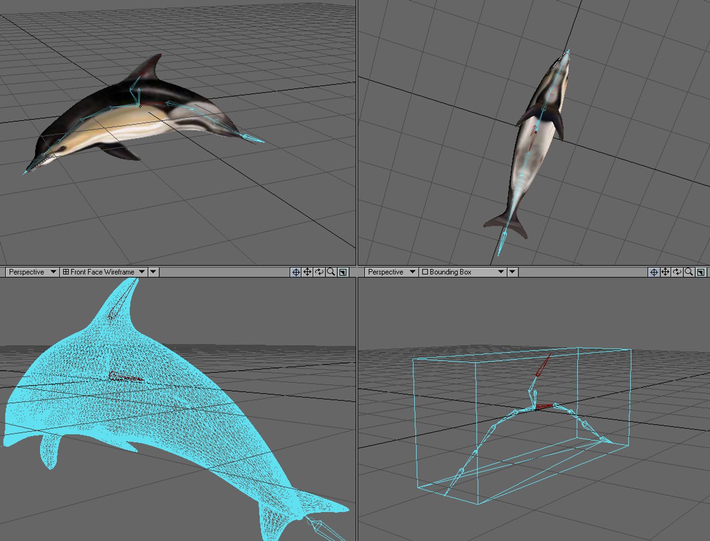lightwave dolphin setup bones