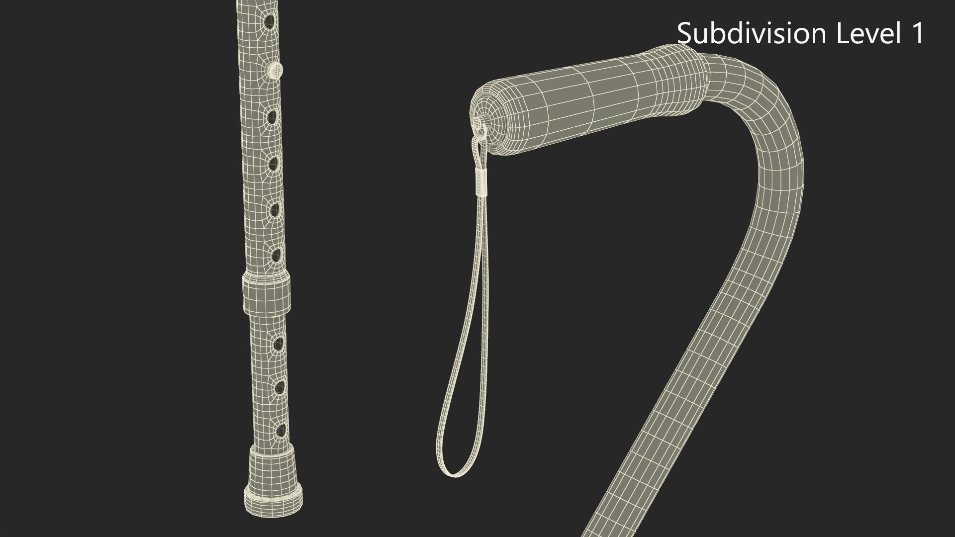 3D Model Adjustable Medical Walking Cane - TurboSquid 2326914